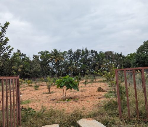 Sarvas Ventures and Developers | Realestate and Plot Developers